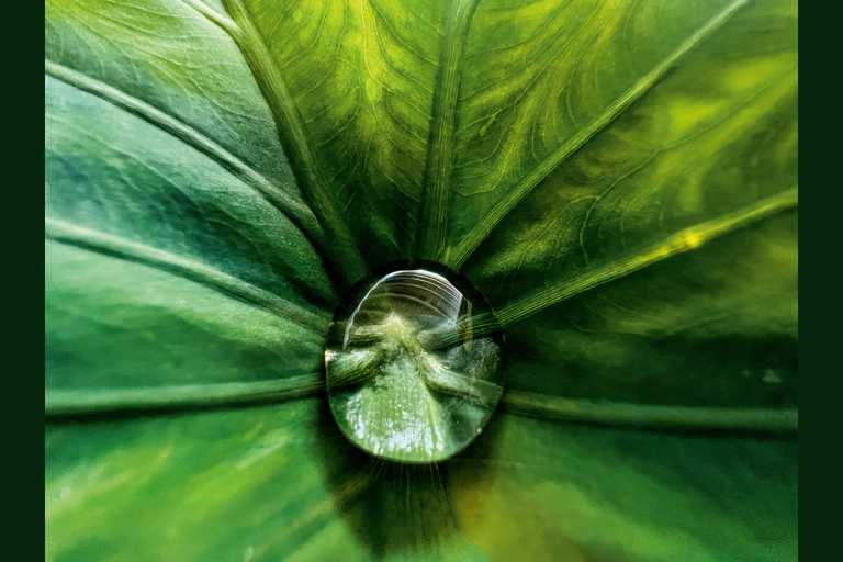 Best iPhone camera 2025: Which iPhone has the best camera? | Macworld