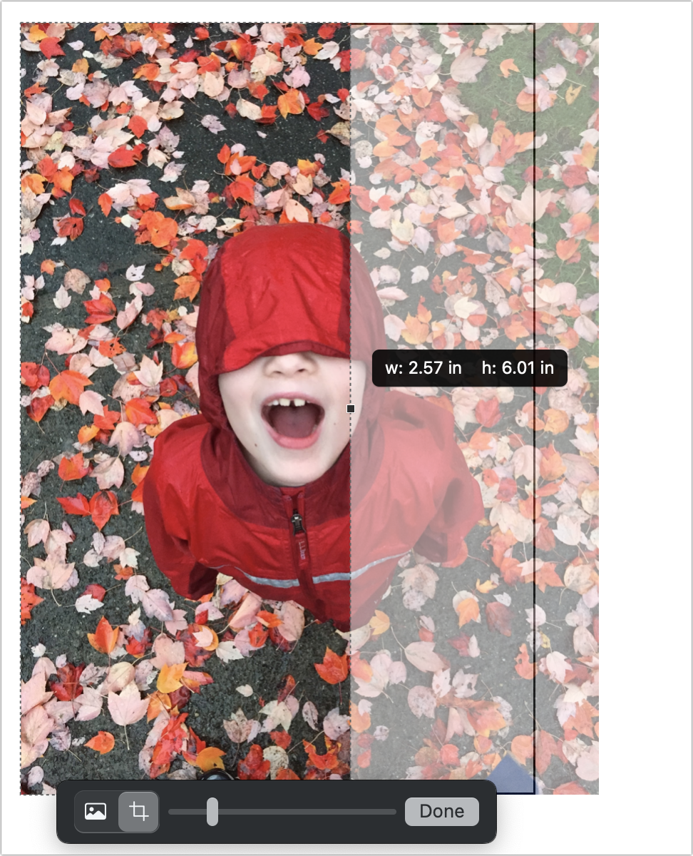 How to use Photos and Pages to size and crop pictures for printing ...
