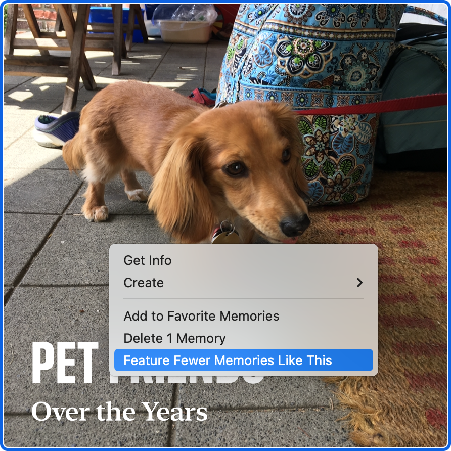 How to stop Memories from appearing in Photos | Macworld