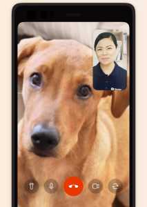 Nätdoktorer: Så bra är läkare online – och apparna du behöver - PCforAlla