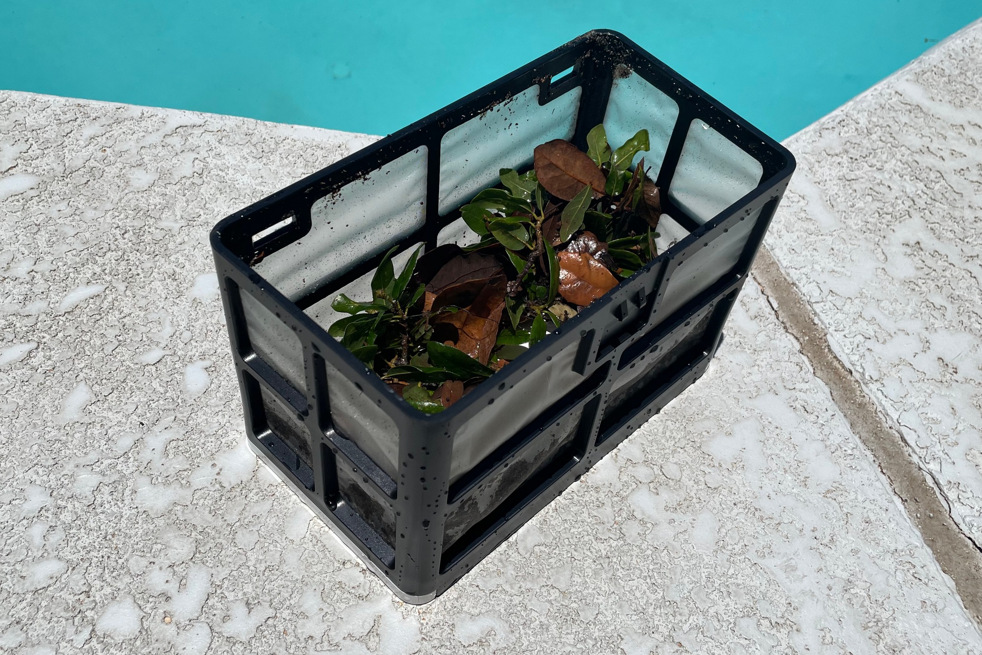 Aiper Seagull Pro review: The wall-climbing robot pool cleaner | TechHive