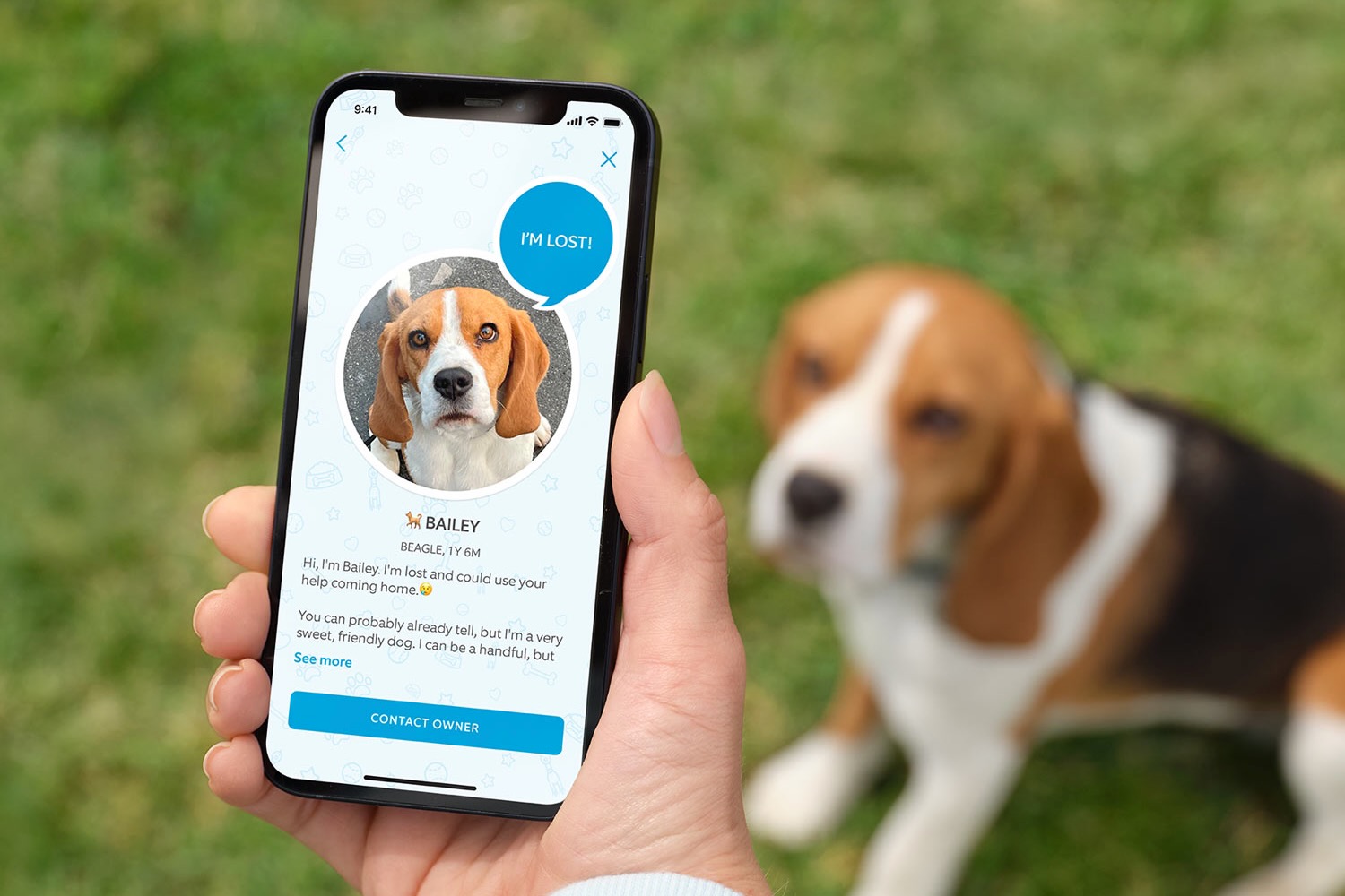 Ring’s new Pet Tag can help lost furry friends find home | TechHive