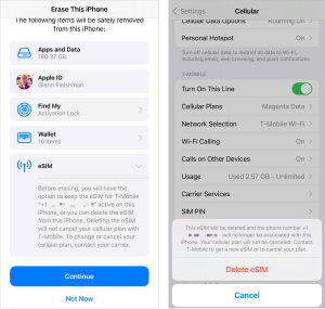 How to delete (or keep) an iPhone's eSIM when erasing it | Macworld