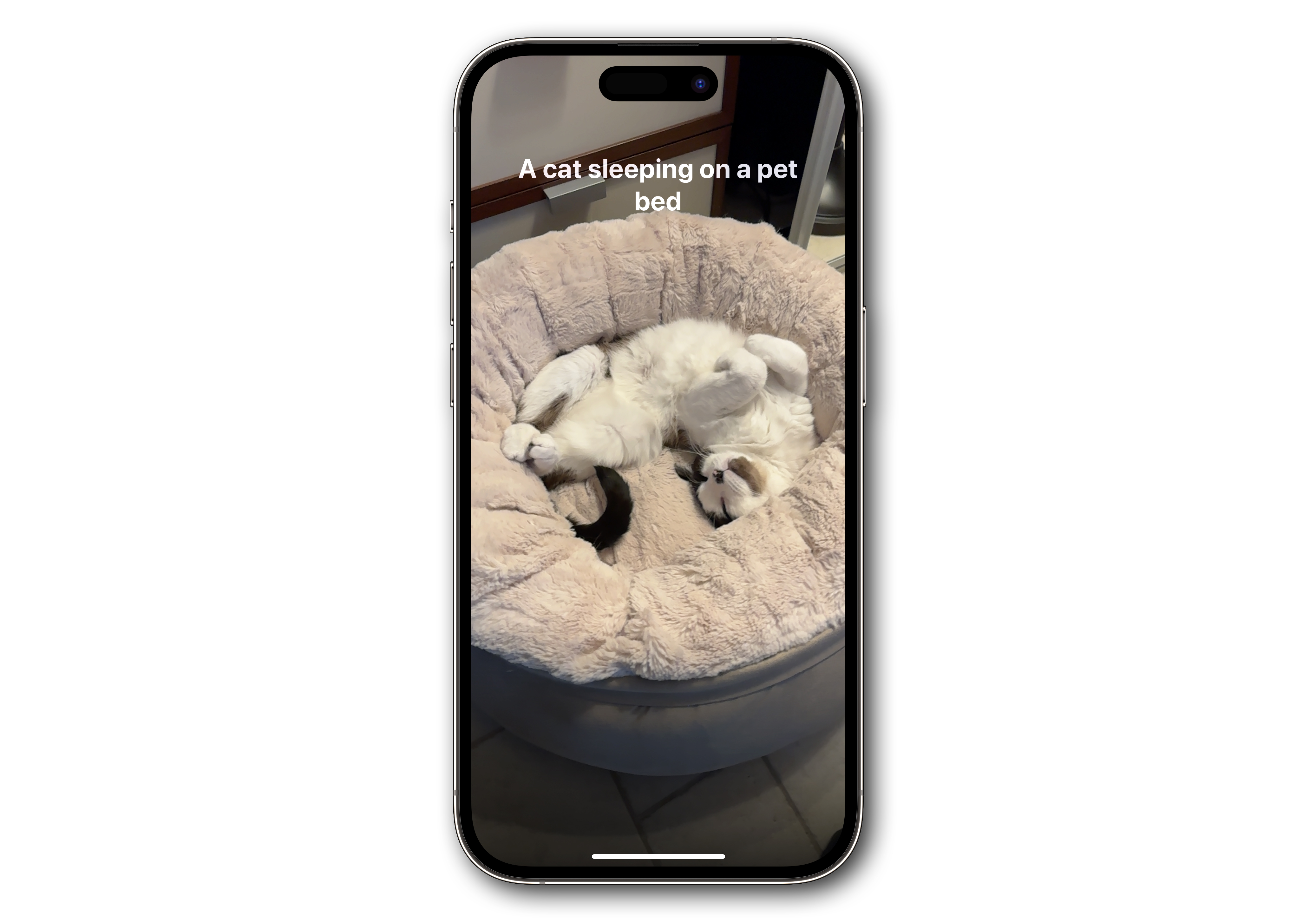 Wanna see something cool? Try this awesome AI feature built right into ...