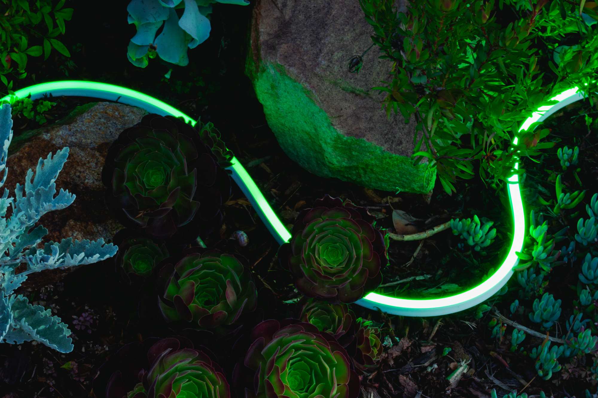 LIFX is back with new outdoor smart lights | TechHive