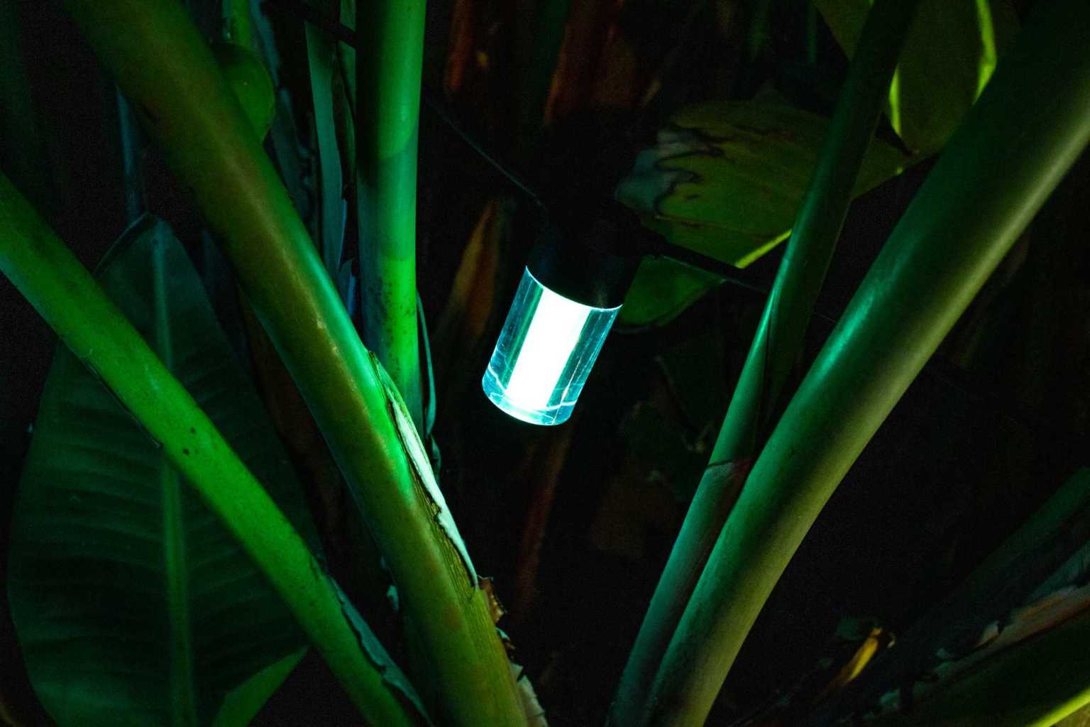 LIFX is back with new outdoor smart lights | TechHive