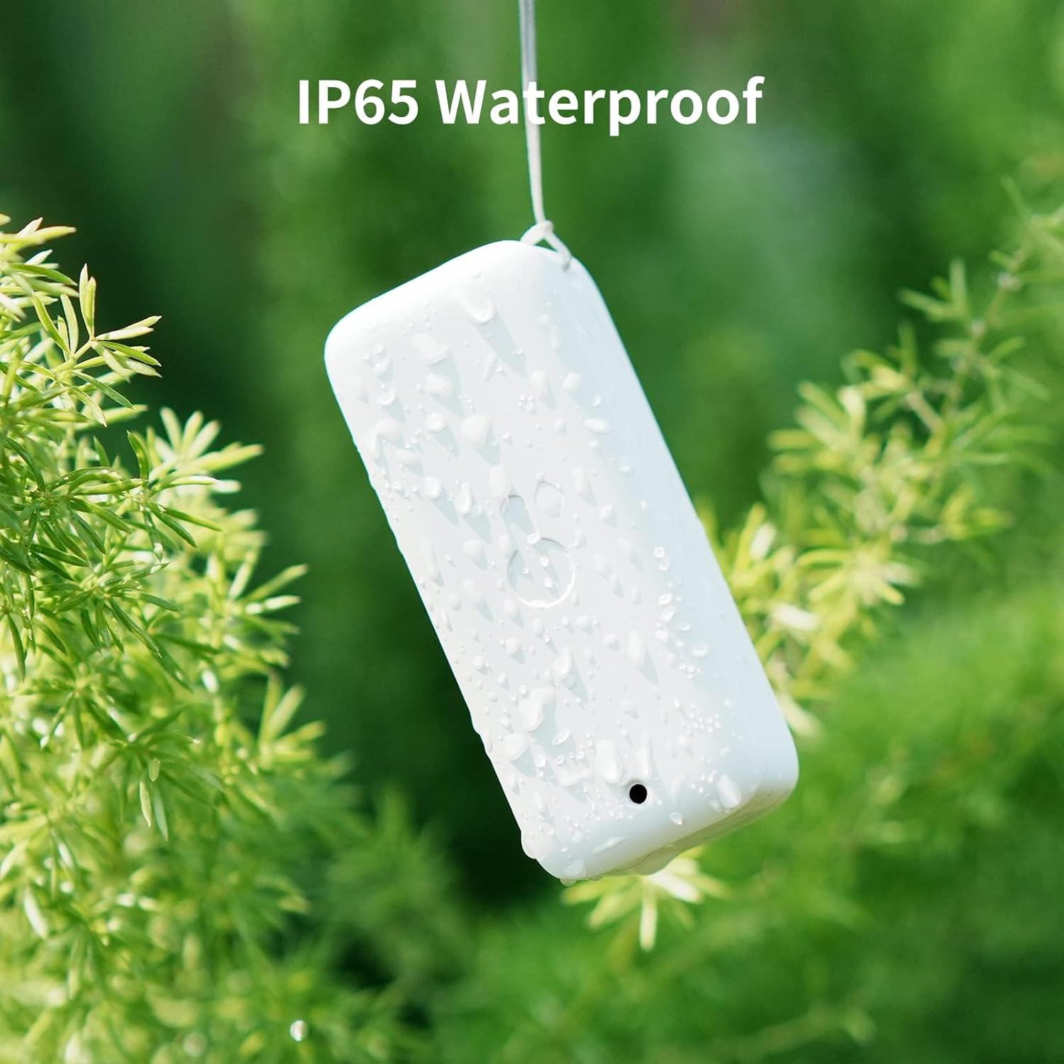 Die besten smarten Hygrometer – Kaufberatung und Marktüberblick - PC-WELT