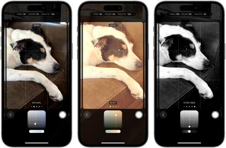 Best iPhone camera 2025: Which iPhone has the best camera? | Macworld
