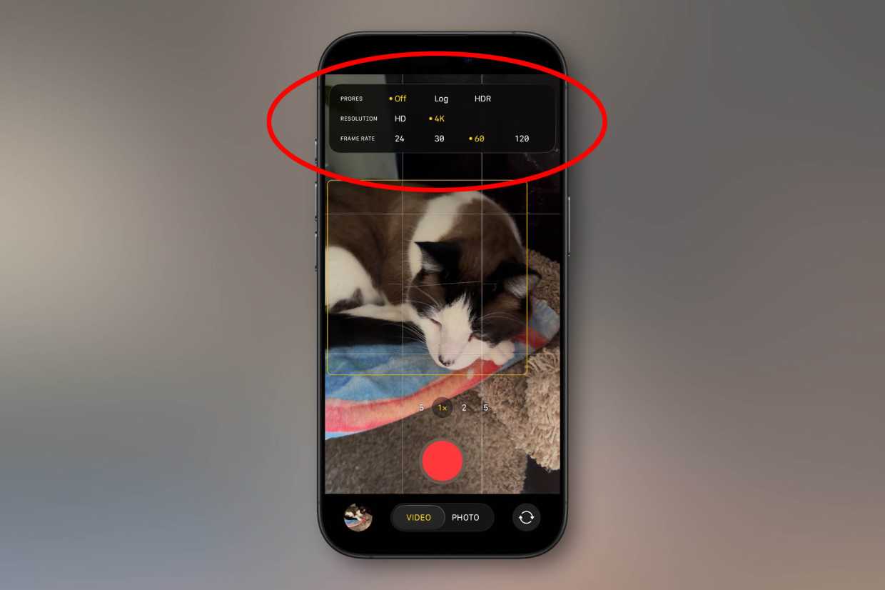 iOS 26 has a new Camera app: Here's what's new and how to find ...