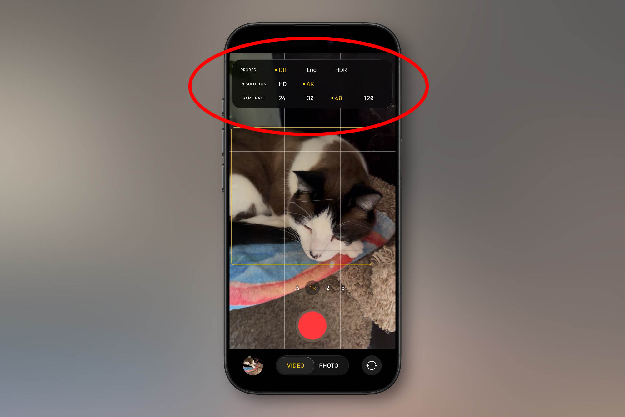 iOS 26 has a new Camera app: Here's what's new and how to find ...
