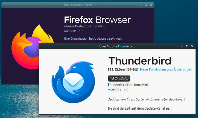 Linux Mint vs. Ubuntu: Welche Distribution ist die bessere Wahl? - PC-WELT